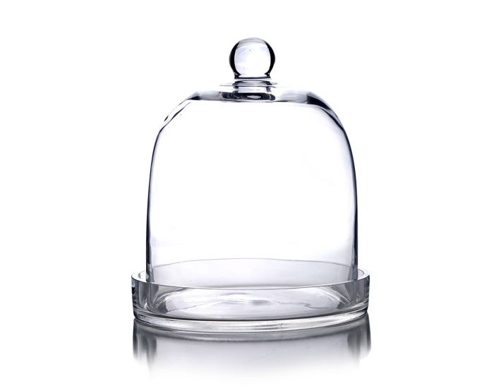 Bell jar, Open/with knob - Wagon Investments Ltd